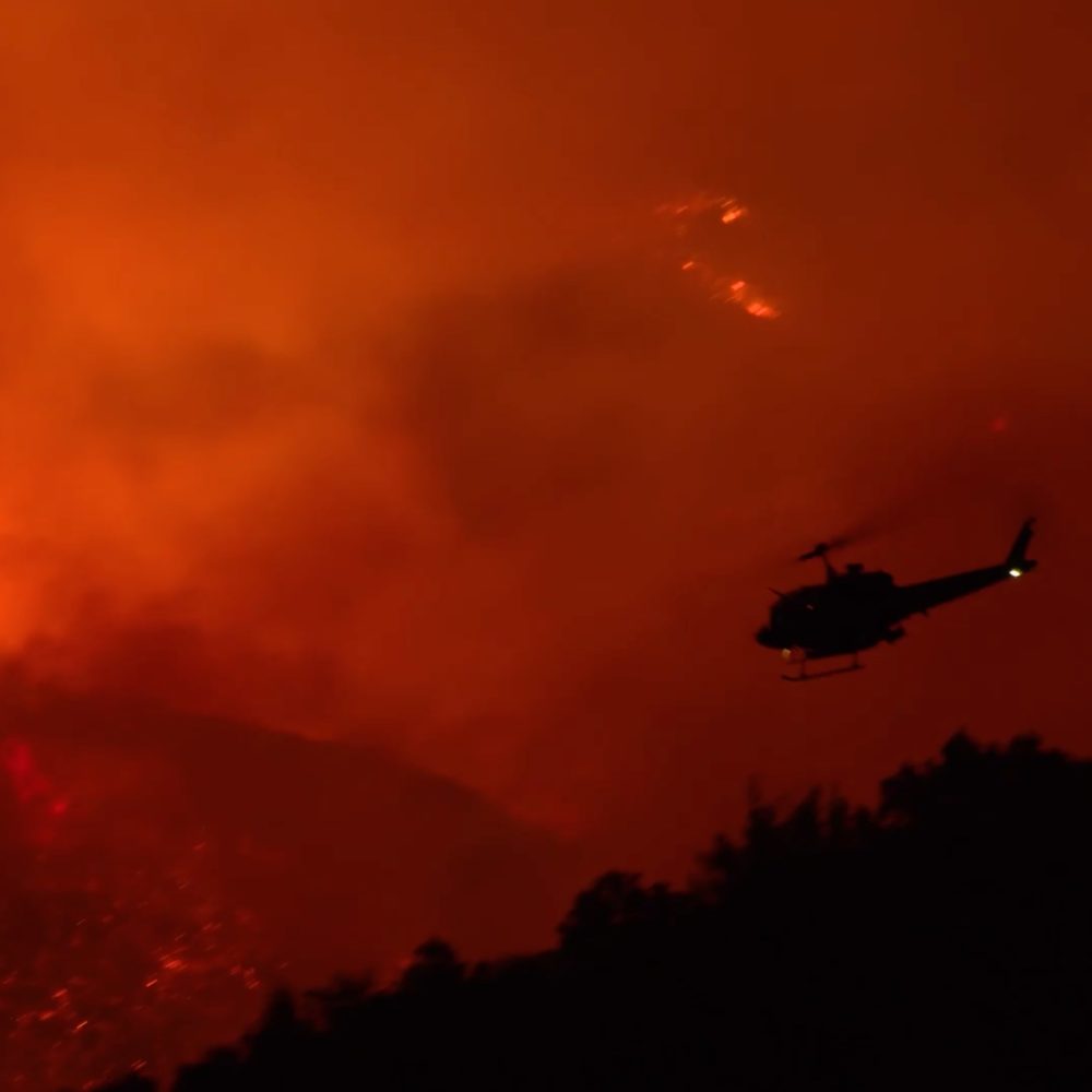 Wildfire 101: Fire Anatomy - RedZone