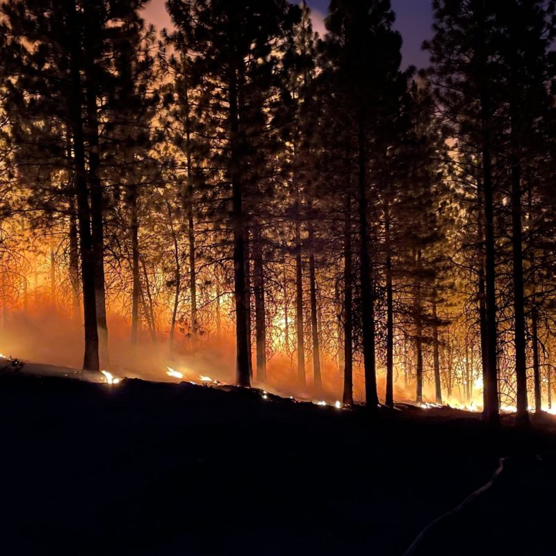 RedZone: Wildfire Software | Natural Disaster Intelligence & Analysis