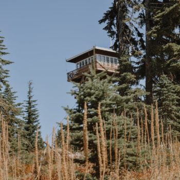 RedZone: Wildfire Software | Natural Disaster Intelligence & Analysis