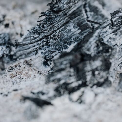 Wildfire 101: Fire Anatomy - RedZone